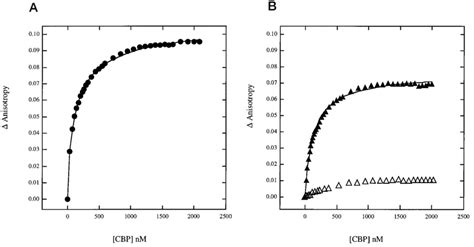 Binding Of Cbp To Crem On The Somatostatin Cre Binding Was Monitored Download Scientific