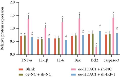 The Effect Of Hdac1 On Irf 1 Transcription And Hepatocyte Inflammatory