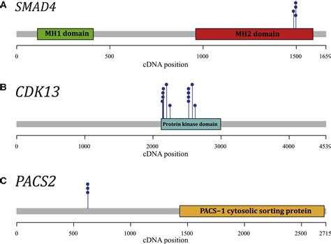 Spatial Clustering Of De Novo Missense Mutations Identifies Candidate Neurodevelopmental