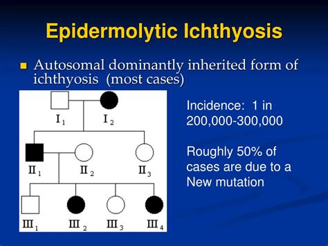 Ppt Epidermolytic Hyperkeratosis Ehk Bullous Congenital Ichthyosiform Erythroderma