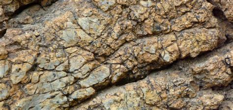 Peridotite Rock