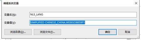 Navicate Premium 连接oracle 11g中文乱码问题（附navicatpremium12破解补丁）navicat连接
