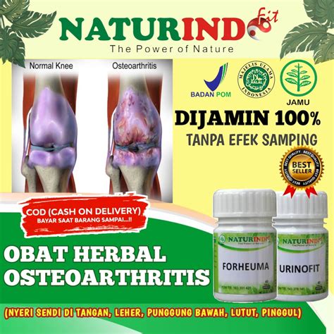 Jual Obat Osteoarthritis Pengapuran Tulang Herbal Nyeri Sendi Lutut Gangguan Tulang Lutut Jamu