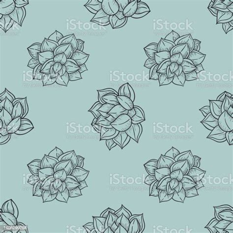 Echeveria 식물을 가진 벡터 추상적인 이음새가 없는 무늬03 가정 생활에 대한 스톡 벡터 아트 및 기타 이미지 가정