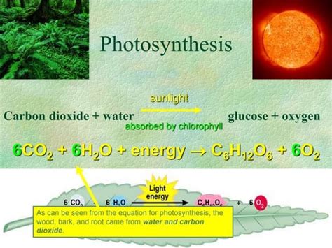 Photosynthesisintroduction Grade 9 Scienceppt Chemistry Science