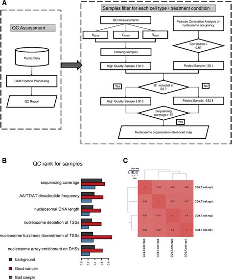 the filtration and pooling strategy of mnase seq data a the workflow of