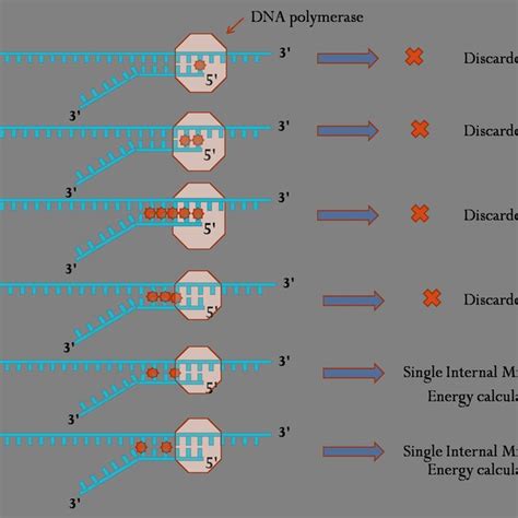 Mismatch Position Validation To Filter Potential Cross Hybridization