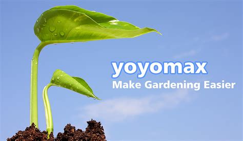 Yoyomax