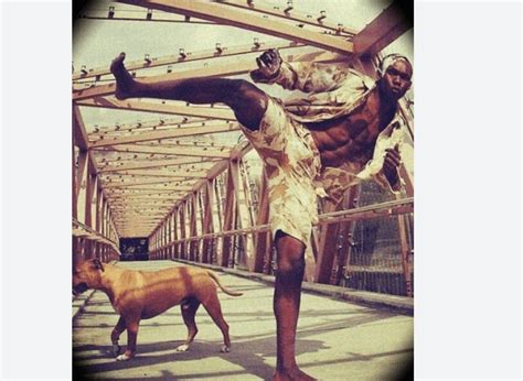 Izzy Adesanya Dog Video On Twitter Reddit Blog Tài Chính Euf