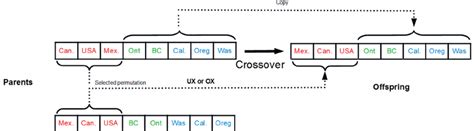 illustration of the crossover operator for one hierarchical