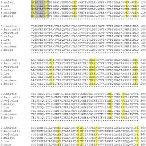 Multiple Sequence Alignment Of Diact With Homologous Download