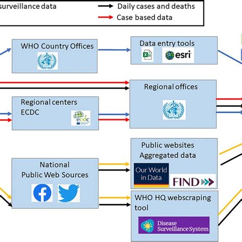 WHO HQ COVID 19 Surveillance Data Base Data Flow Source WHO HQ