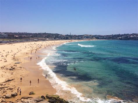 The Best Beaches In Sydney