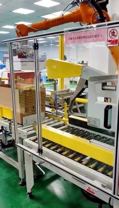 Robot Case Packer And Robotic Palletizer Palletizing Roboticpalletizer Robotcasepacker