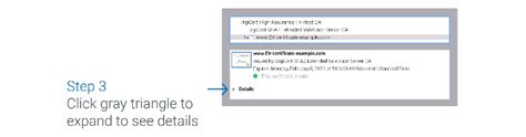How To Choose The Right Type Of TLS SSL Certificate DigiCert