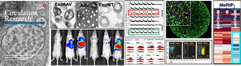 Research The Sahoo Lab