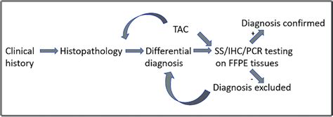 iterative process for achieving etiologic diagnoses in minimally