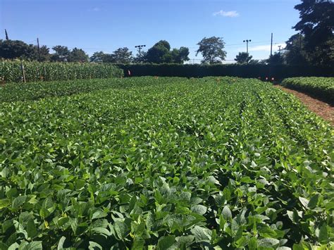 Smart Farm Cocriagro
