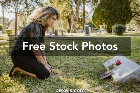 Dead Grass Feild Photos Download The Best Free Dead Grass Feild Stock