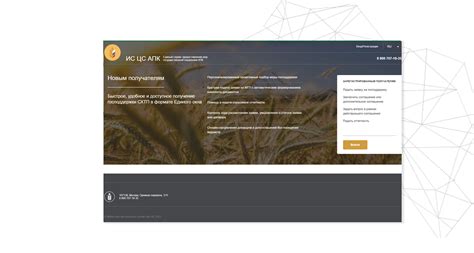 Команда разработчиков на React