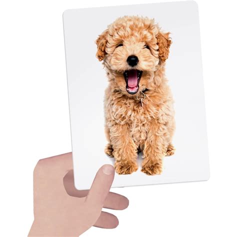 montessori tactile flashcards brightminds uk