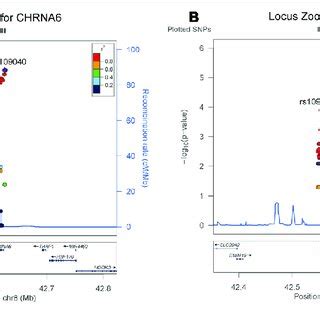 Summary Of Single Locus Analysis Of Two Interested Genes By Download Scientific Diagram