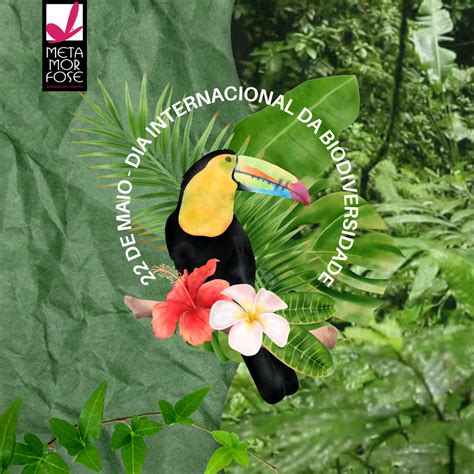22 De Maio Dia Internacional Da Biodiversidade Metamorfose ComunicaÇÃo