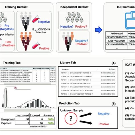 Workflow For Tcr Repertoire Sequencing And Diagnostic Assessment Of Download Scientific Diagram