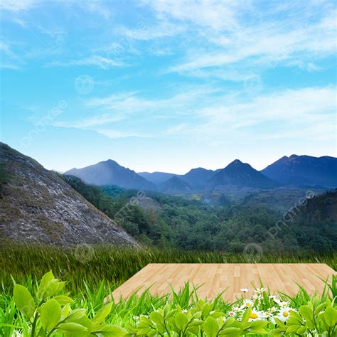 Bộ Sưu Tập Hình Nền Cây Xanh Thiên Nhiên Cực Chất Full 4k Với Hơn 999