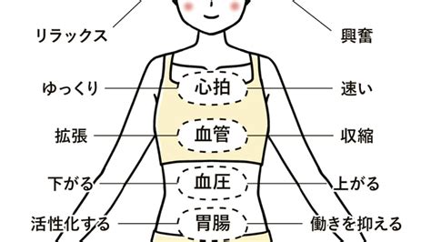 “何となく不調”がラクになって、しかもやせる！ 医師も実践する、超簡単な自律神経の整え方 Antenna[アンテナ]