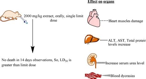 Medical Device Systemic Toxicity Acute Tests Services Cd Bioparticles