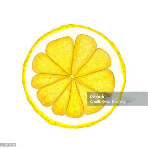 라운드 레몬 슬라이스 수채화 그림입니다 손으로 그린 노란색 감귤류 과일 통하고 있는 고립된 배경 포장 및 디자인을 위한 사실적인 이미지 감귤류 과일에 대한 스톡 벡터 아트