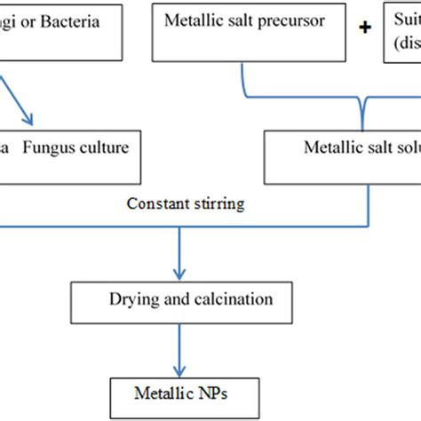Pictorial Representation Of Microbe Mediated Np Synthesis Download Scientific Diagram