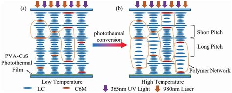 Broadband Reflection Cholesteric Liquid Crystal Film Fabricated By Near