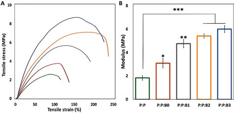 Figure 5 From Tissue Engineered Small Diameter Vascular Grafts Containing Novel Copper Doped