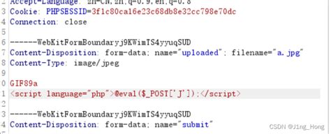 NSSCTF SWPUCTF 2022 web nssctf环境打不开 CSDN博客