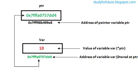 Study For Future Pointers In C