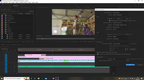 Solved Proxies Wont Export In High Res Help Adobe Community