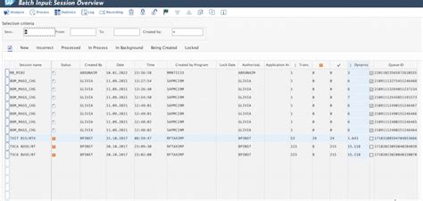 Execution Et Mode De Process Des Batch Input Sapworld Net