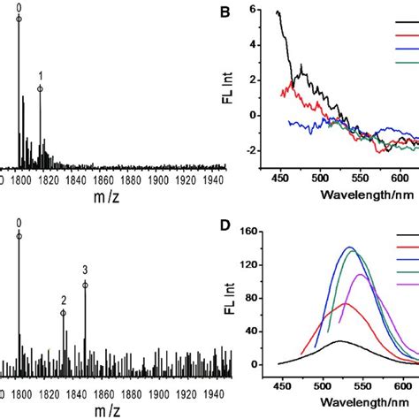 A And C Esi Tof Mass Spectra Of T1c And T3c Dna 10 µm B And D