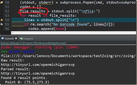 Python Zxing