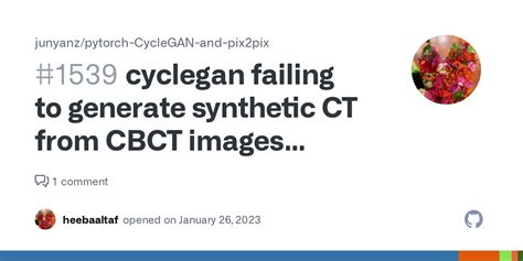 Cyclegan Failing To Generate Synthetic CT From CBCT Images Cropped Issue Junyanz