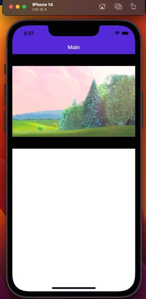 Bug Media Element Platform Controls Hidden On Ios Issue Communitytoolkit Maui