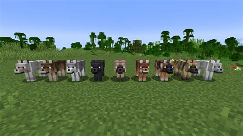All New Wolf Variants In Snapshot 24w10a Rminecraft