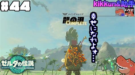 44 ゼルダの伝説 ティアーズ オブ ザ キングダム 約束された神ゲーやる 助手 Youtube