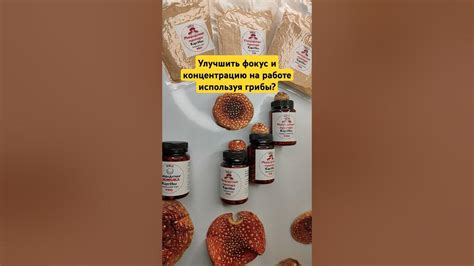 Улучшить фокус и концентрацию на работе используя грибы