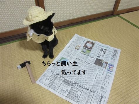 コスプレ猫のチョコラ飼い主トラにゃん on Twitter ブログ更新情報だにゃhttps t co HQUz47Wogi