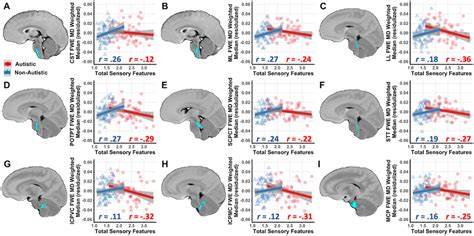Diagnosis Dependent Relationships Between Brainstem White Matter