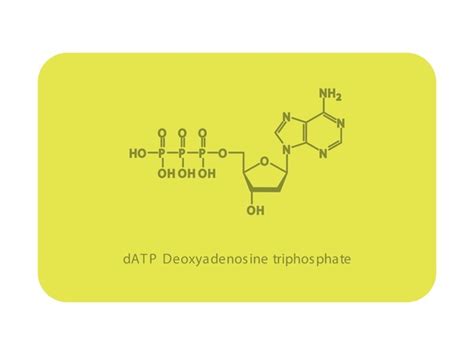 Datp Over 8 Royalty Free Licensable Stock Vectors And Vector Art Shutterstock