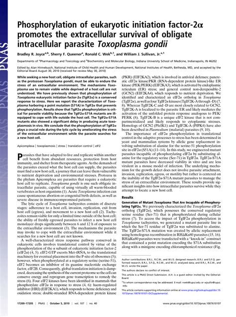 Pdf Phosphorylation Of Eukaryotic Initiation Factor 2 Promotes The Extracellular Survival Of